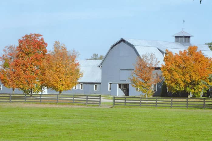 Waldorf Farm - Home of Bustin Stones and Mr. Monomoy